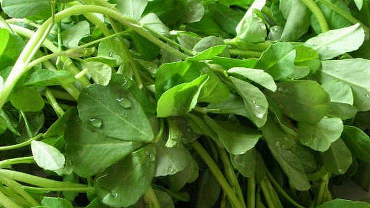 Venthaya Keerai Benefits வெந்தயக் கீரையின் பலன்கள்