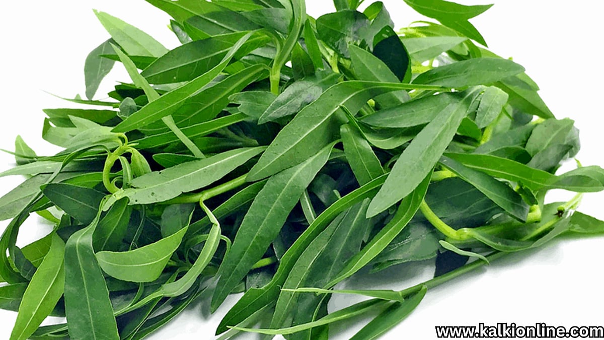 எளிய முறையில் செய்யக்கூடிய பொன்னாங்கண்ணிக் கீரை பொரியல்! ponnanganni ...