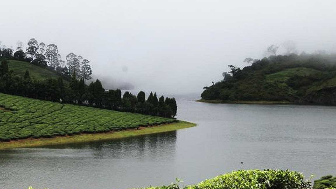 A hidden gem in the clouds! A trip to Meghamalai!