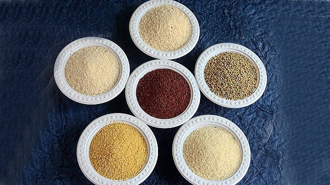Seven Types of Millet Foods and Their Uses ஏழு வகை தினை உணவுகளும் ...