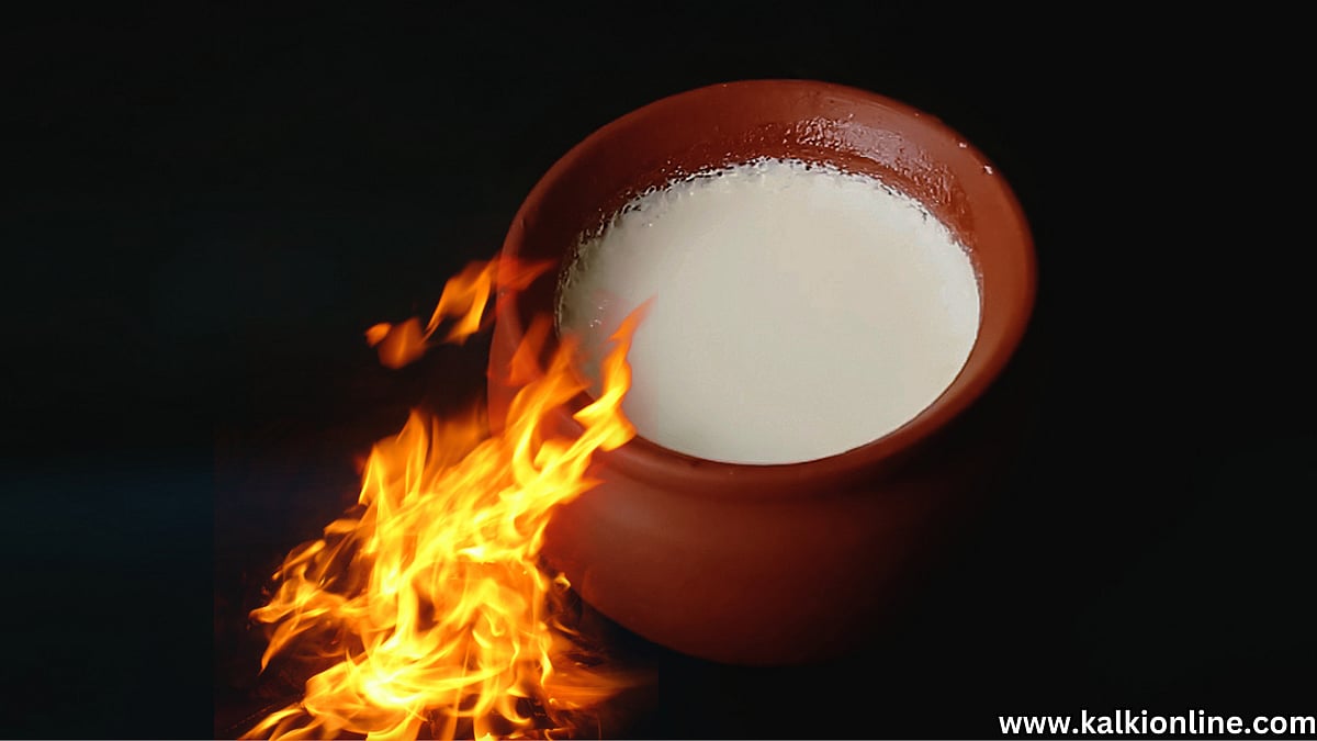 Why not to heat curd health benefits