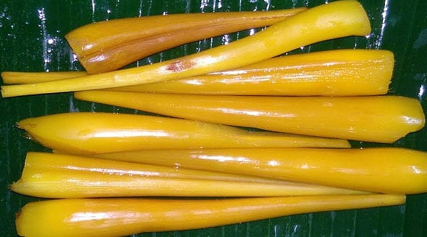 Do you know the medicinal properties of Palmyra tuber? மலச்சிக்கல் ...