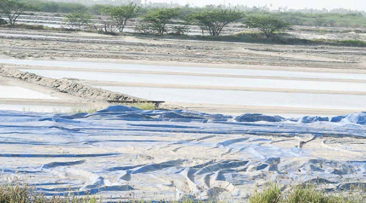Flood affected Tuticorin salt production!