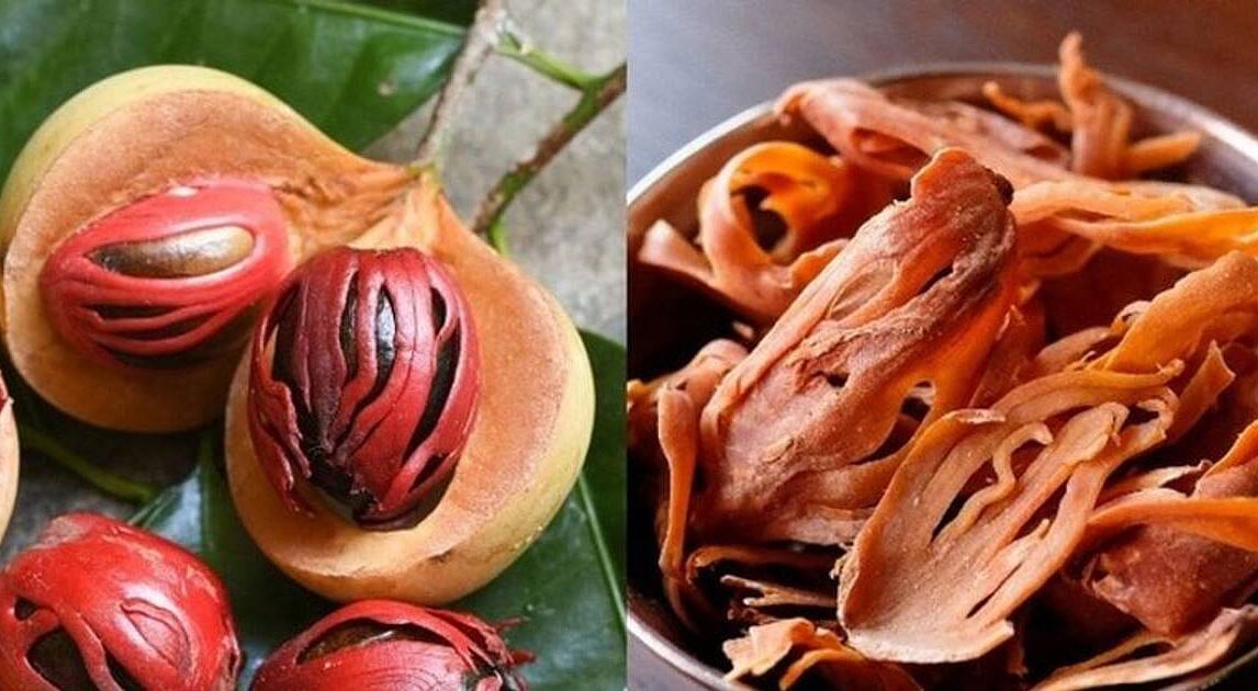 Jathipathri relieves stress and induce good sleep மன அழுத்தம் போக்கி ...