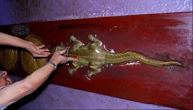 Do you know where Perumal temple is located where lizards are worshiped ...