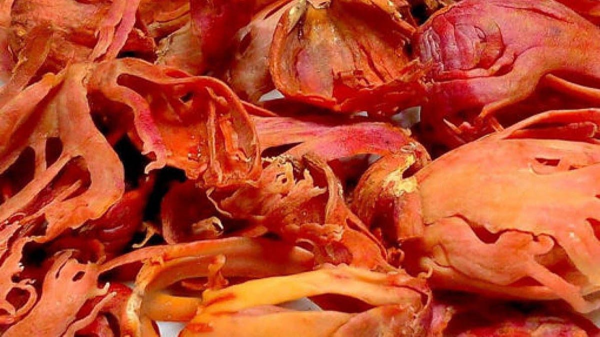 Jaathipathiriyin Arokiya Nalan Theriyumaa? சமையலுக்கு மணமூட்டி ...