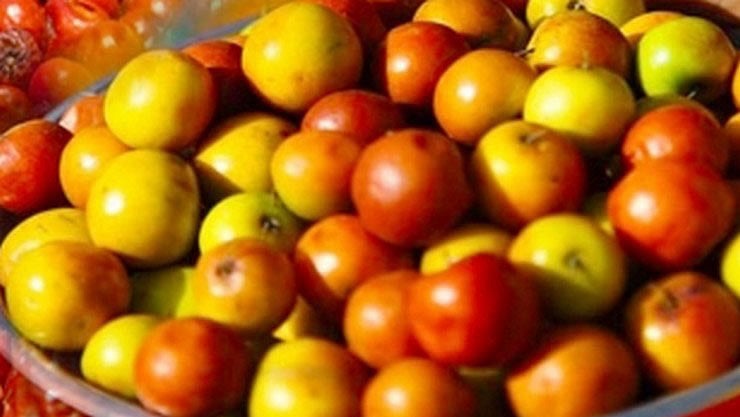 Allergy Thollaigalai Virattum Ilanthai Pazham அலர்ஜி தொல்லைகளை ...