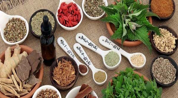 Do you know the health benefits of herbal powders? எந்தெந்த மூலிகைப் ...