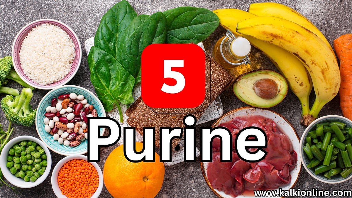 Purine சத்து அதிகம் நிறைந்த 5 உணவுகள்! purine rich foods in tamil