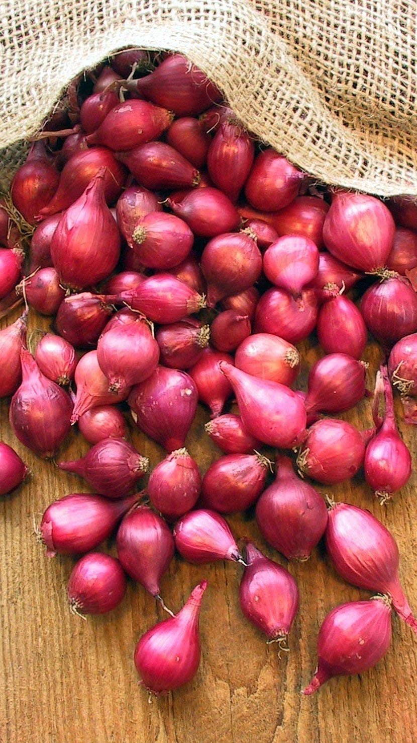 சின்ன வெங்காயத்தின் மருத்துவ பயன்கள்! | Medicinal benefits of small onion!