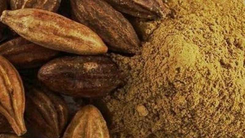 உடலுக்கு உரமேற்றும் கடுக்காய் பொடி மகத்துவம்! Nourishing mustard powder ...