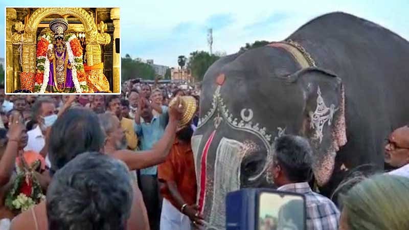 ஸ்ரீரங்கத்தில் சித்ரா பௌர்ணமி அன்று கஜேந்திரமோட்சம் விழா ...