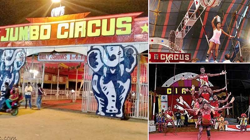 Jumbo Circus - My first ever experience!