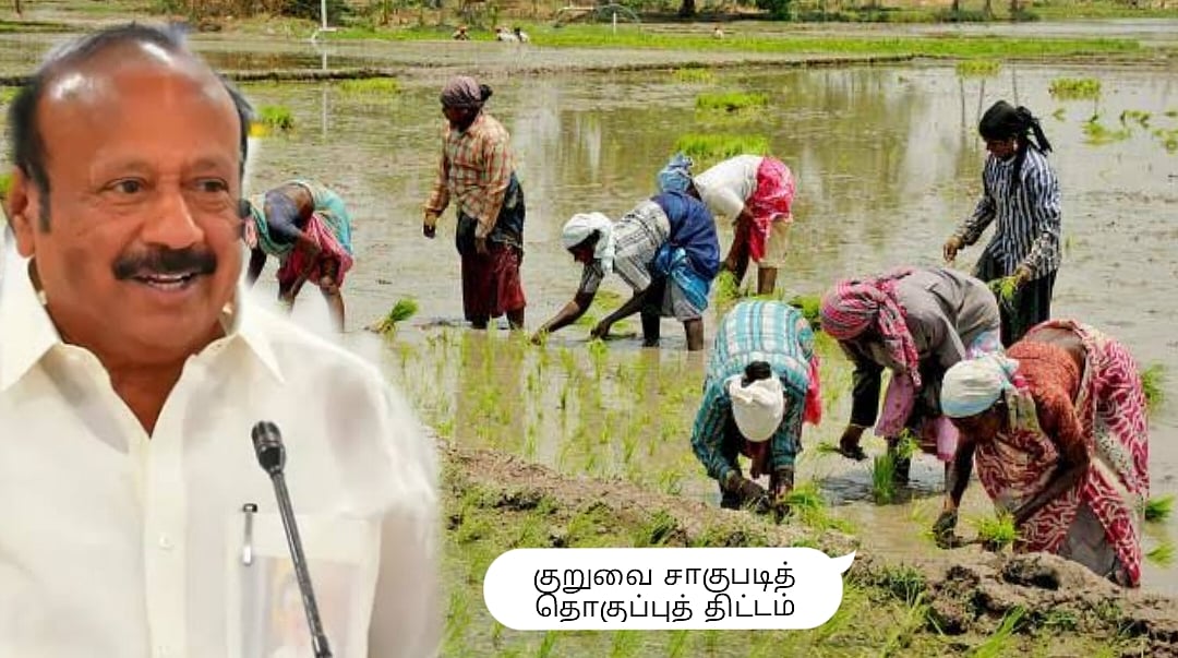 குறுவை சாகுபடித் தொகுப்பு திட்டம் 2024: தமிழ்நாடு அரசின் சூப்பர் ...