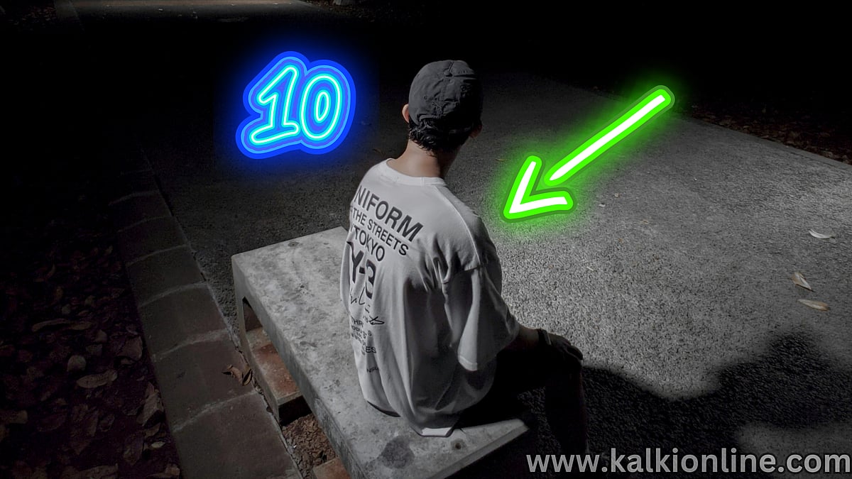 தனிமை விரும்பிகள் பற்றிய 10 சுவாரசியமான உண்மைகள்! 10 interesting facts ...