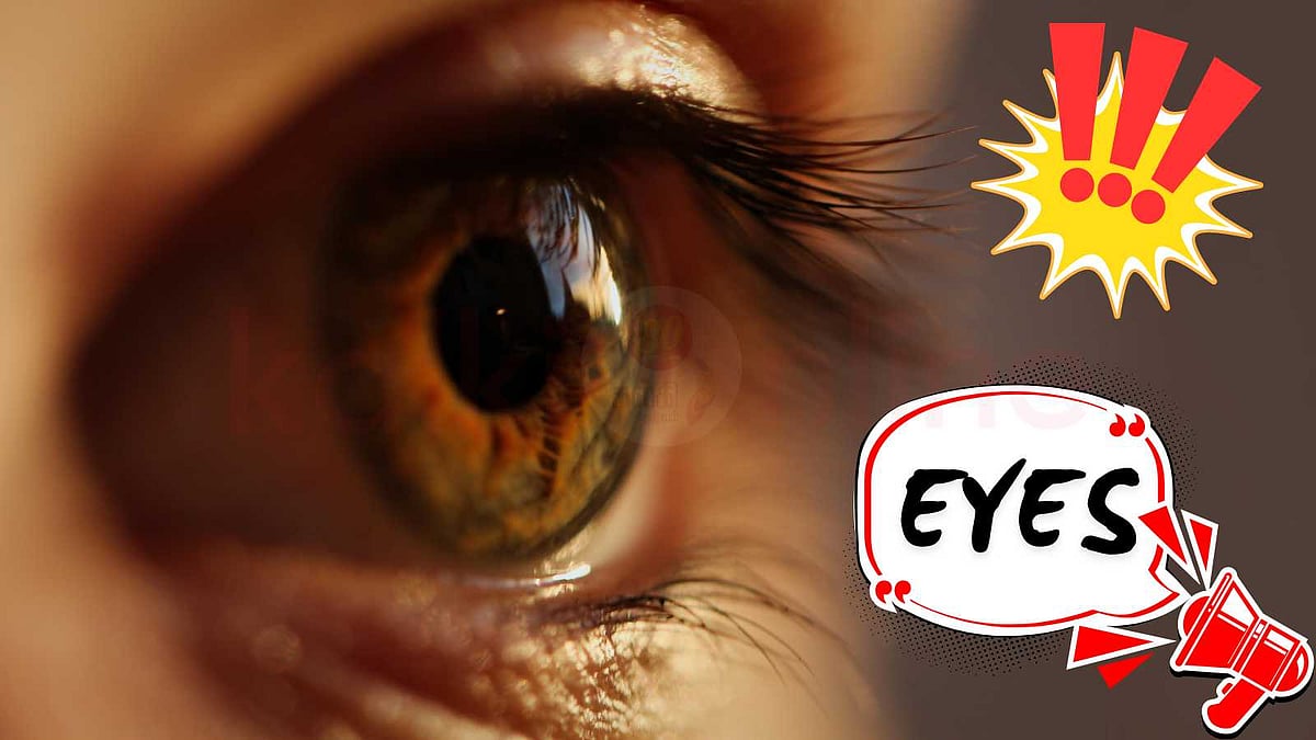 கண்கள் பேசுமாமே, தெரியுமா? | Eyes can talk, you know?