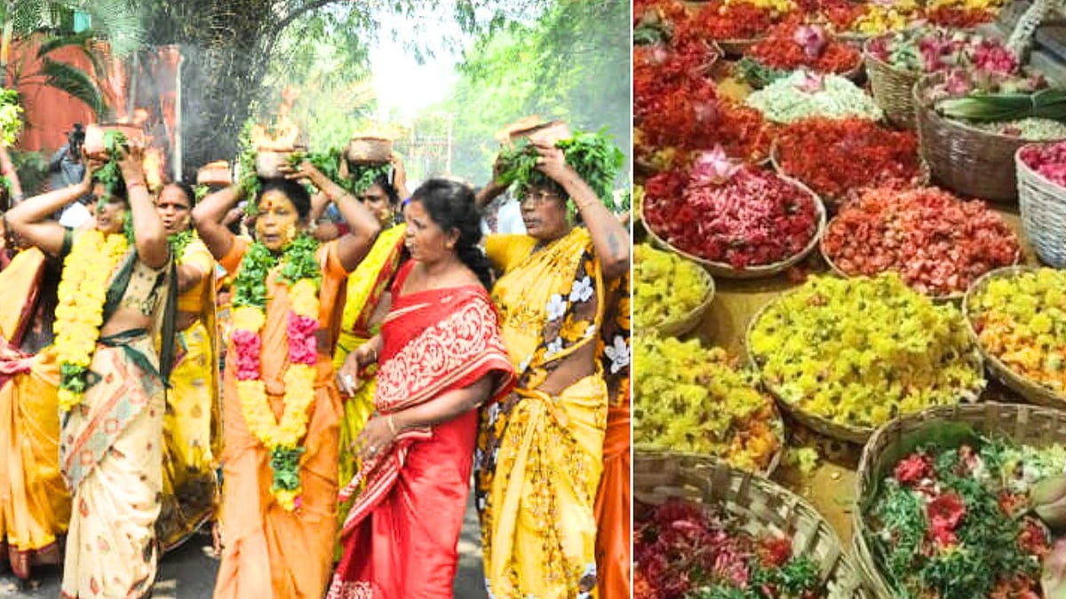 Highlights of Adi month!