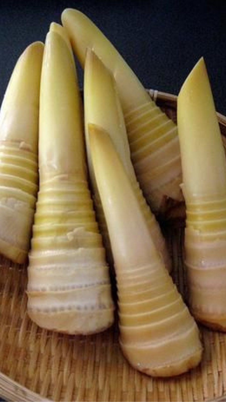 மருத்துவ குணம் வாய்ந்த மூங்கில் குருத்து! Medicinal bamboo pulp!