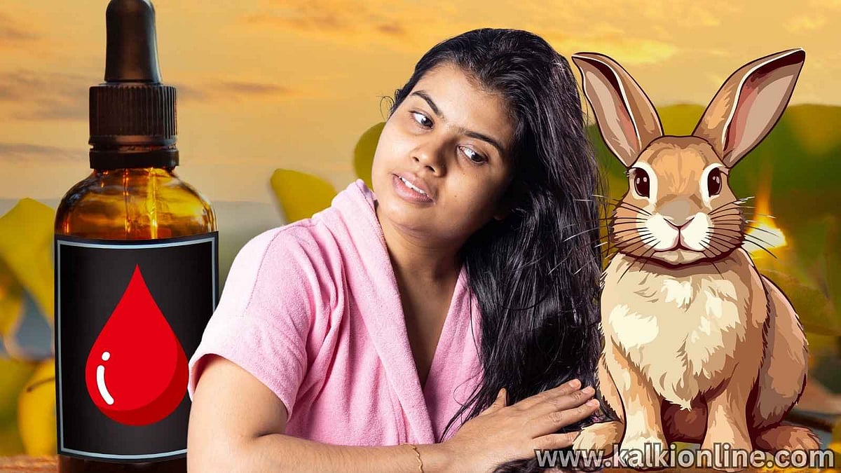 முயல் ரத்தம் பயன்படுத்தி தயாரிக்கப்படும் ஹேர் ஆயில் உண்மையிலேயே நம் தலை ...