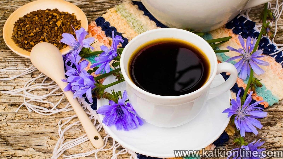 சிக்கரி ஃபில்டர் காபி பற்றிய முக்கிய ஆரோக்கிய தகவல்கள்! Important Health Information About ...