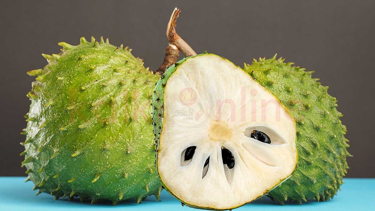 சீதாப்பழம் தெரியும், அதென்ன முள்ளு சீத்தாப்பழம்?