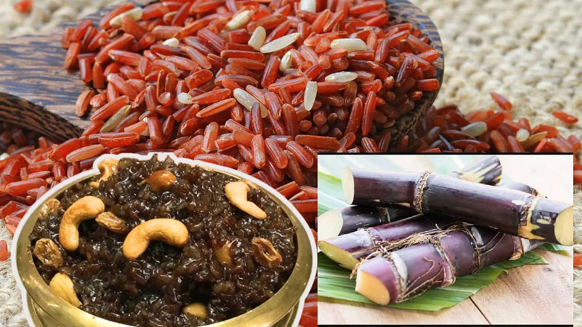 Red rice Pongal recipes கரும்புச் சாற்றில் வேகும் சிவப்பரிசி பொங்கல் ...
