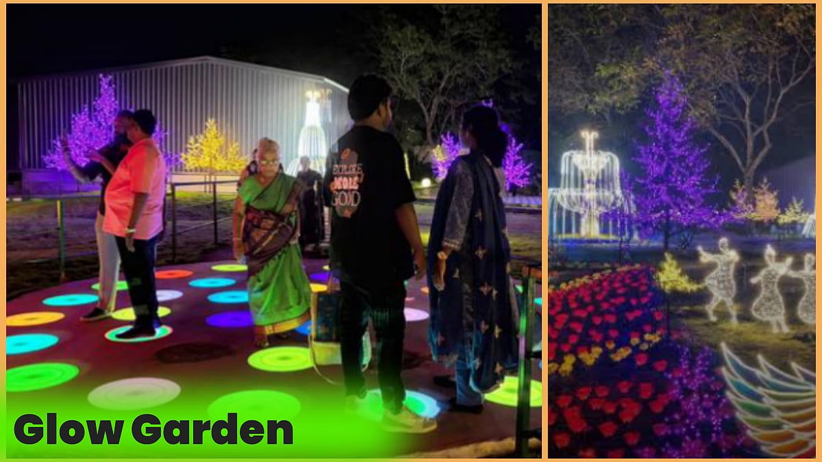 தமிழ்நாட்டின் முதல் Glow Garden.! இனி இரவிலும் சுற்றுலா அனுபவம்.!