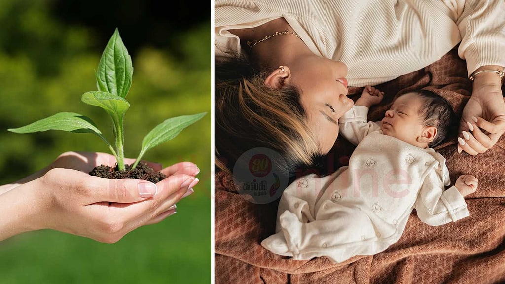 girl-child-tree-planting இந்த ஊரில் பெண் குழந்தை பிறந்தால், அதன் ...
