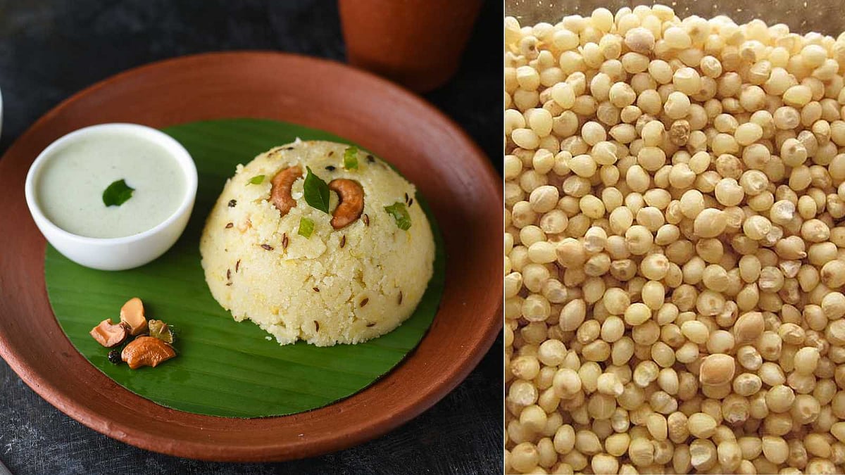 வரகரிசி வெண்பொங்கல் ரெசிபி: ஆரோக்கியம் தரும் பாரம்பரிய சிறுதானிய காலை உணவு