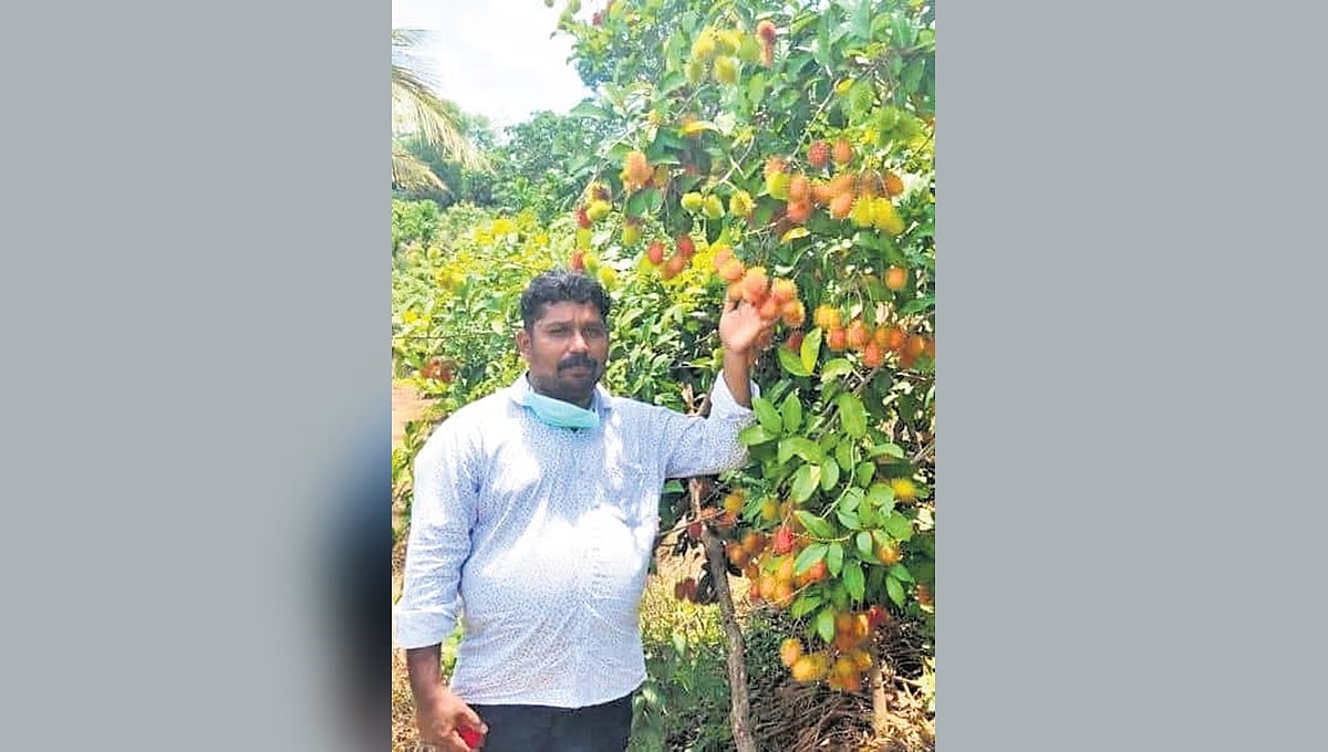 10ನೇ ತರಗತಿ ಡ್ರಾಪ್‌ಔಟ್‌ ನಂತರ ಕೃಷಿ ಆಯ್ಕೆ... ಈ ರೈತ ಈಗ ಕೋಟ್ಯಾಧಿಪತಿ!