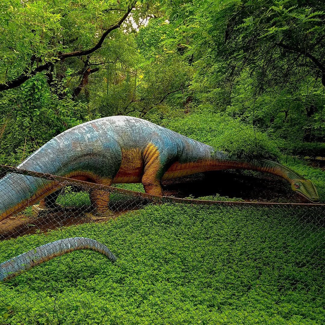 Explore Kanpur's Local Tourism: Zoological Park, Theme Park, and More ...