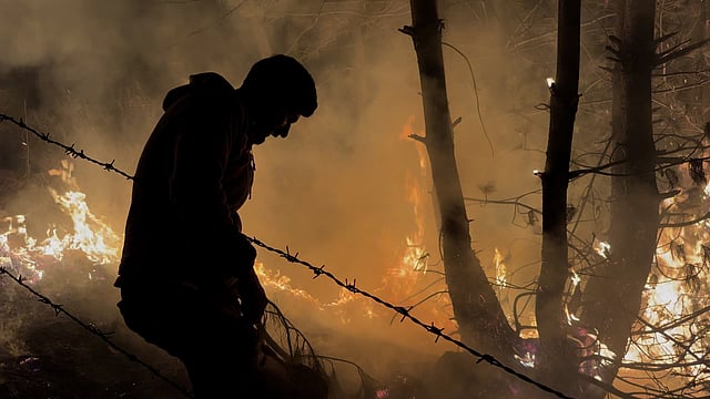 J&K Forest Fires Surge: 94 Incidents in 2 Weeks, Anantnag Worst Hit