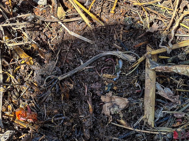 Kashmir's Farm Heroines: Women Leading Agricultural Innovation