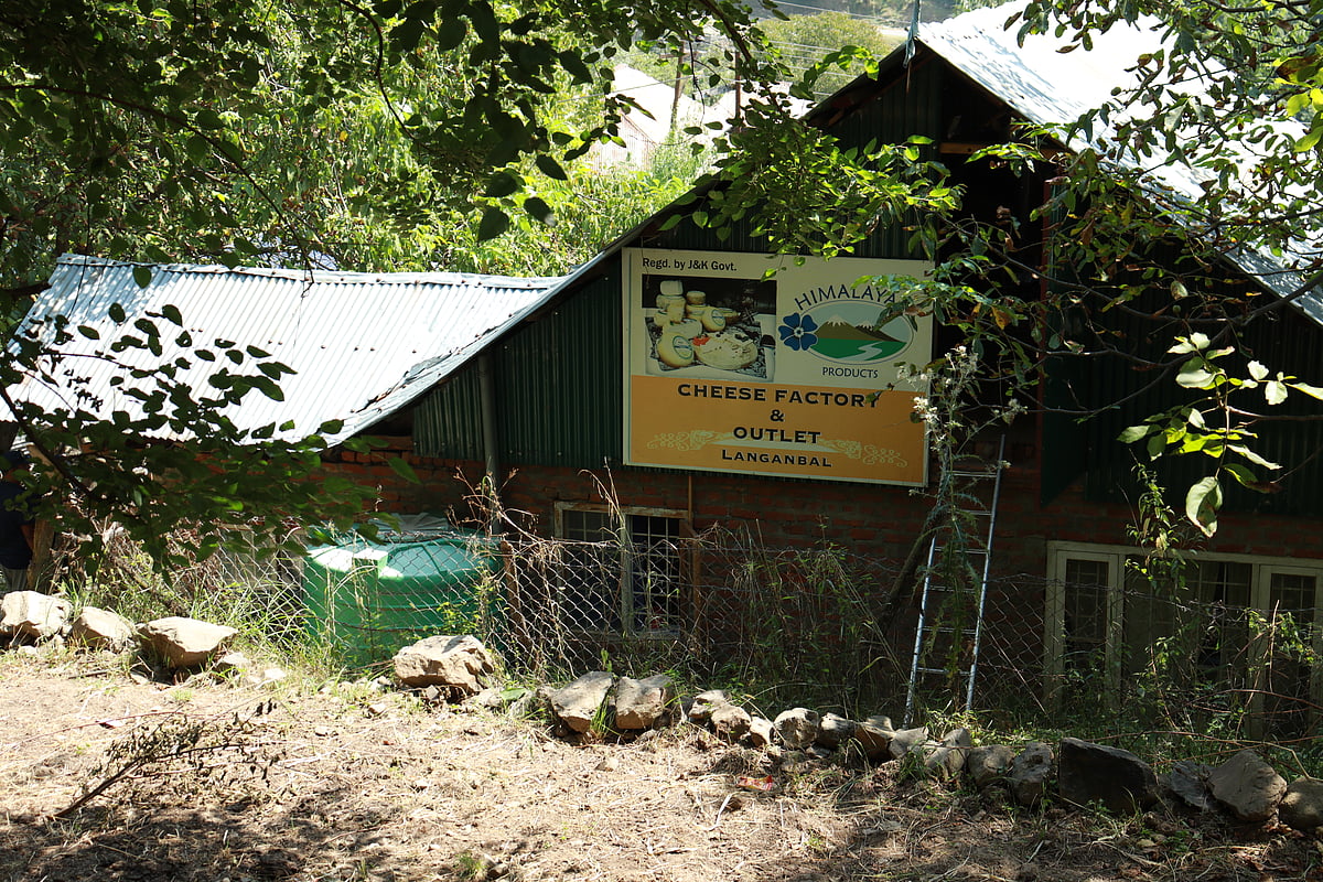 Empowering Kashmiri Women: The Cheese Revolution Transforming Lives