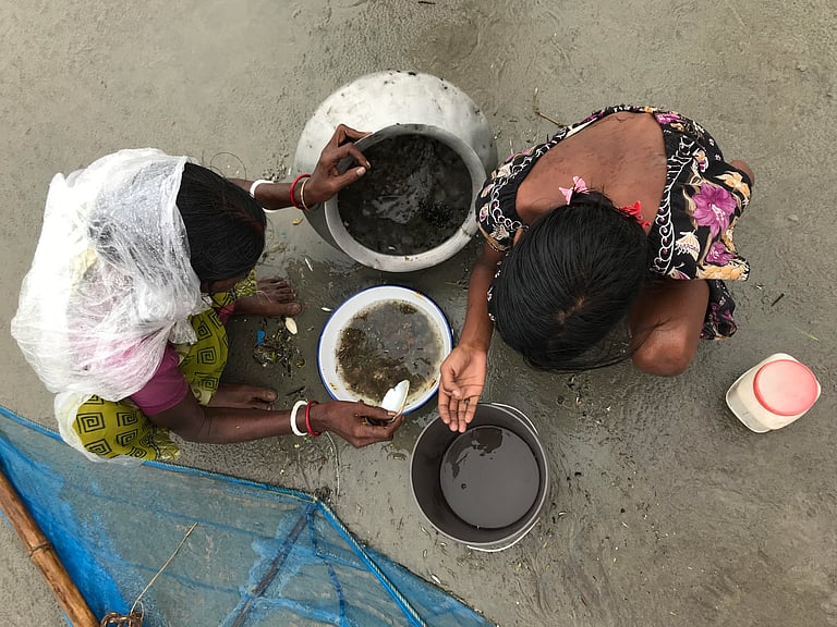 Grassroots Narratives: India's Climate Resilience Beyond AI