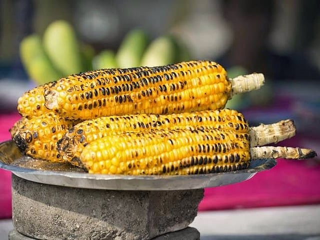 Monsoon munchies: Ahmedabad's must-try street foods for rainy day bliss!