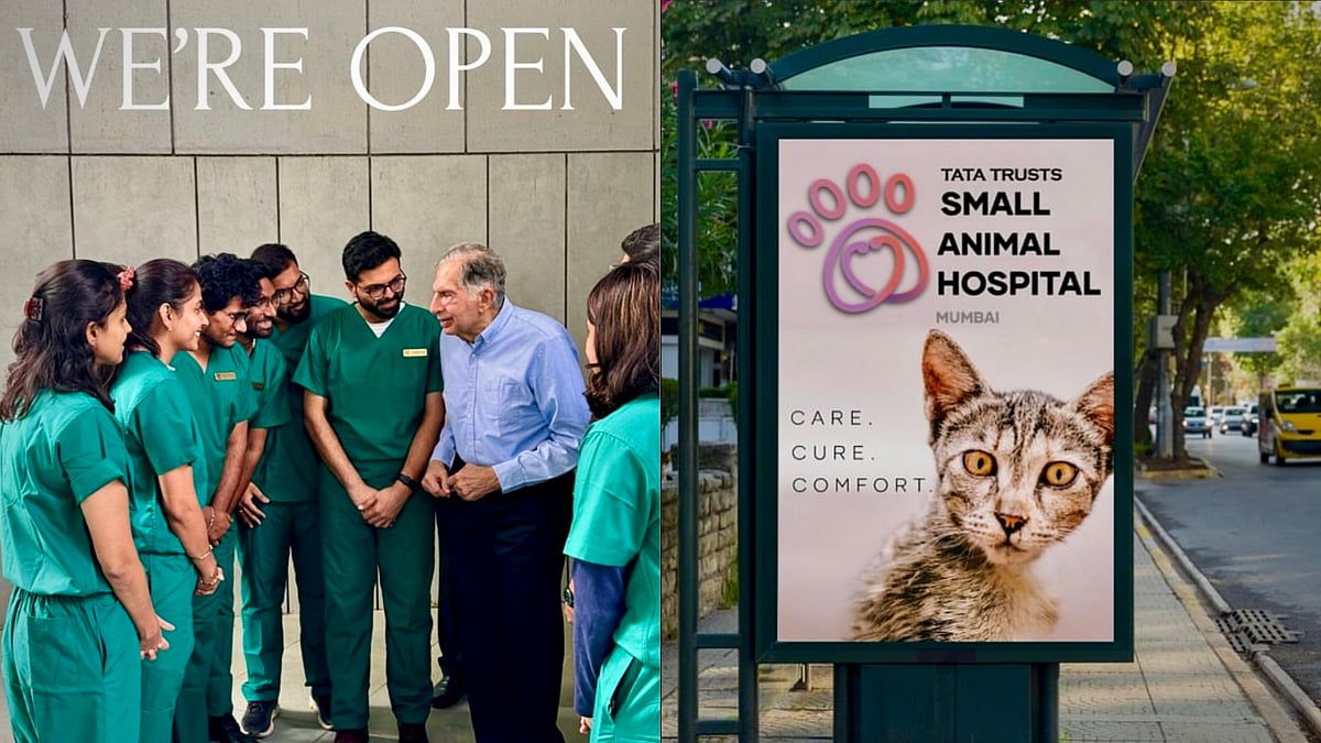 First-of-its-kind in India, Tata Trusts Small Animal Hospital opens in ...