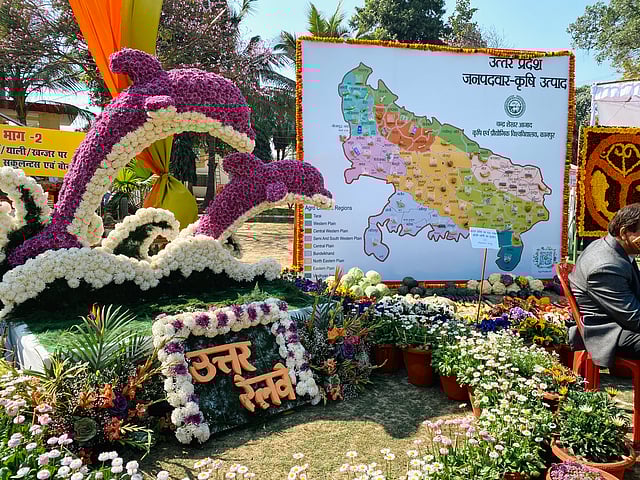 In Pics | A sneak peek into floral grandeur at Lucknow's Annual Flower ...