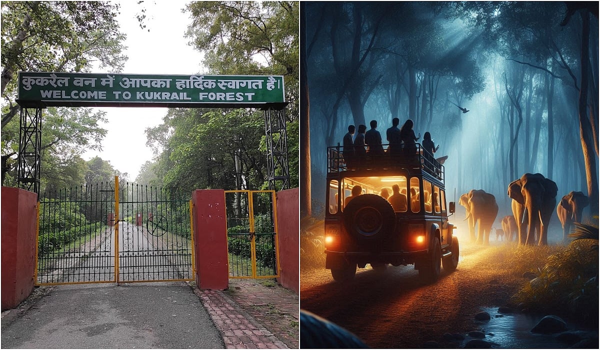 Lucknow News | Kukrail Night Safari work to finally begin in April ...