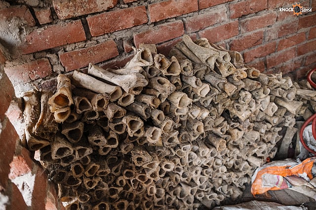 Lucknow's history of preserving the intricate craft of Bone Carving