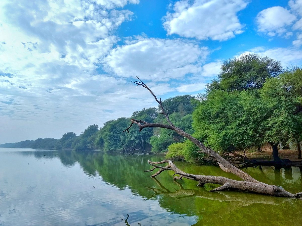 Embark on an adventure to witness the golden sunrise at Thol Lake, just ...