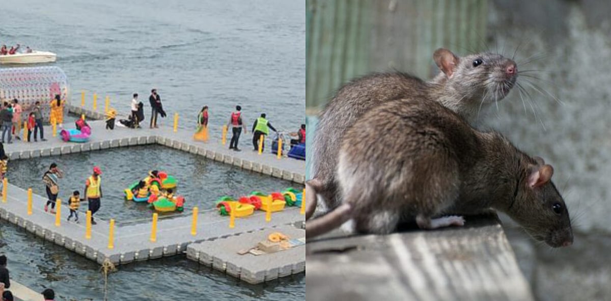 Ahmedabad News Roundup| Riverfront water activities halted, efforts to ...