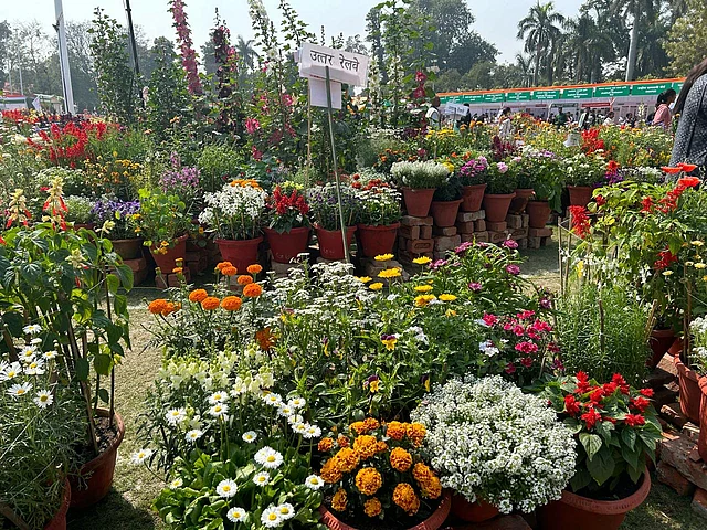 In Pics Flower Show 2024 At Raj Bhawan Enthralls Visitors Last Day