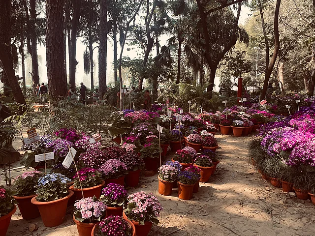 In Pics Flower Show 2024 At Raj Bhawan Enthralls Visitors Last Day