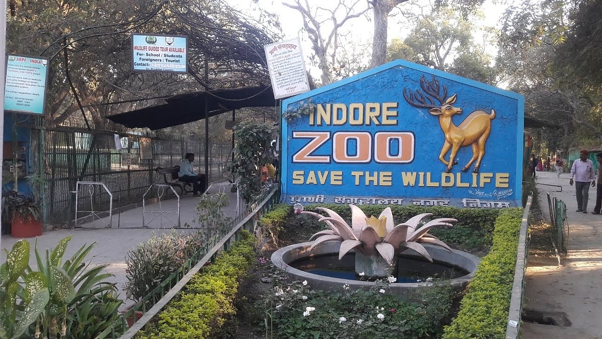 Indore Zoo to soon introduce an immersive virtual jungle safari at new ...