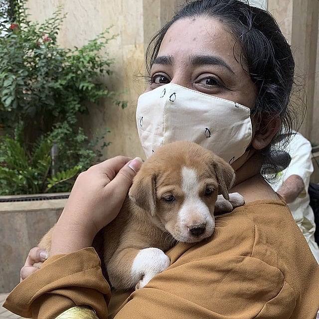 Make a pawsitive difference: Here's all about YODA, an animal welfare ...