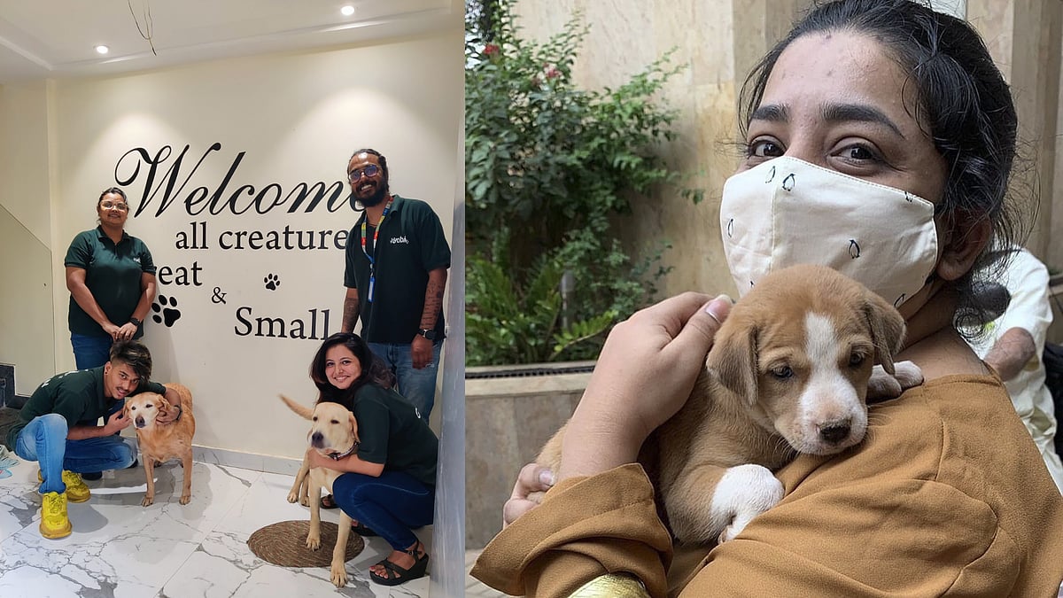 Make a pawsitive difference: Here's all about YODA, an animal welfare ...