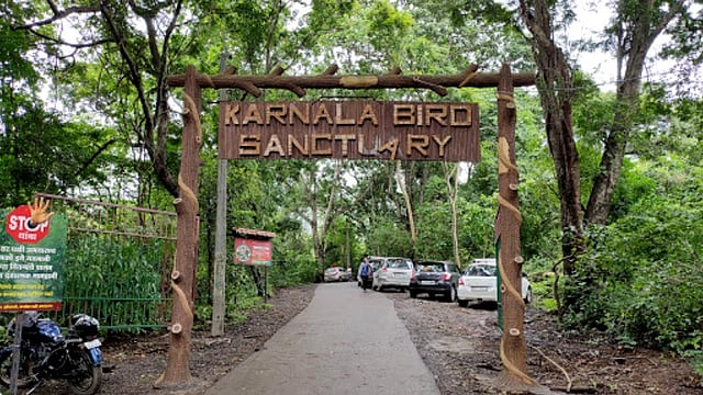 Know about THIS colourful yet elusive bird known as the 'Jewel Of ...