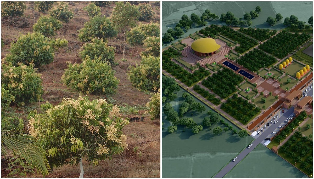 New 'Mango Park' to come up in Lucknow; know features!