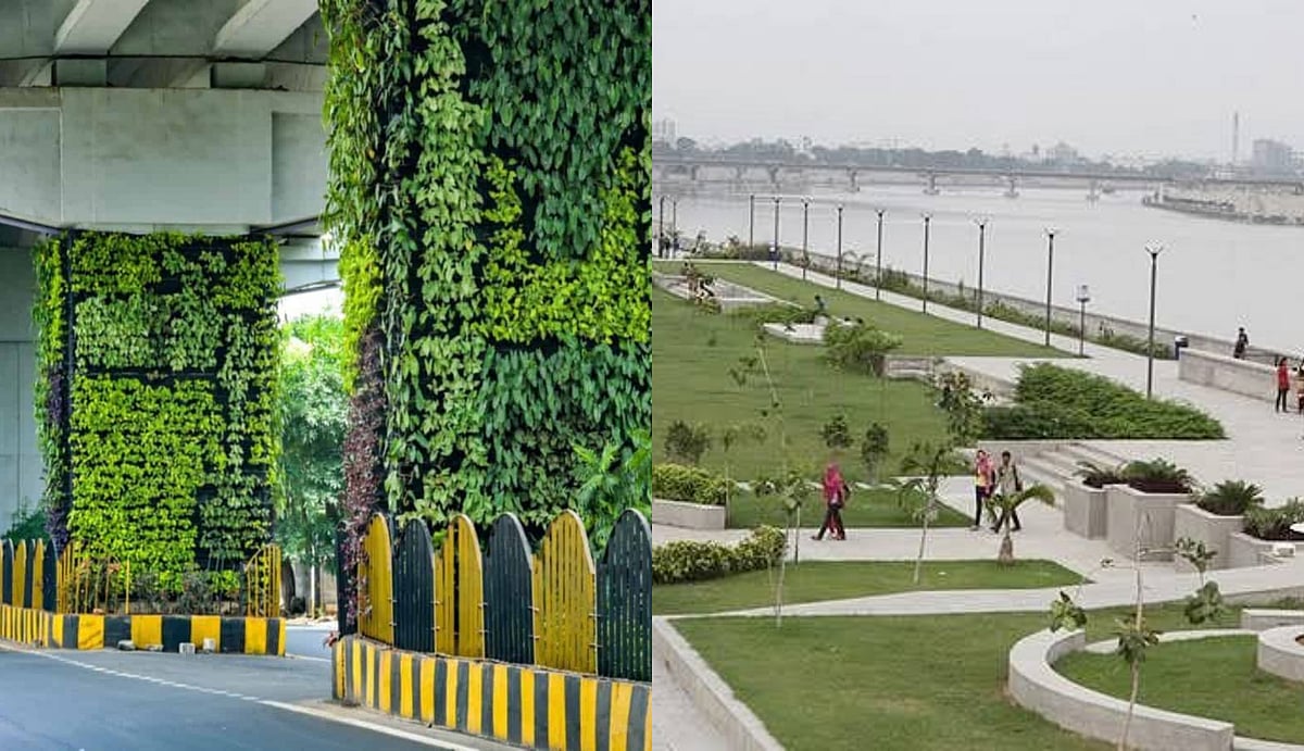 Ahmedabad News | AMC plans vertical green walls, international food ...